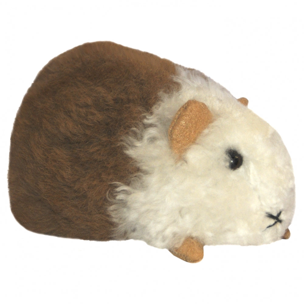 Adorable Peruvian Cuy Alpaca International